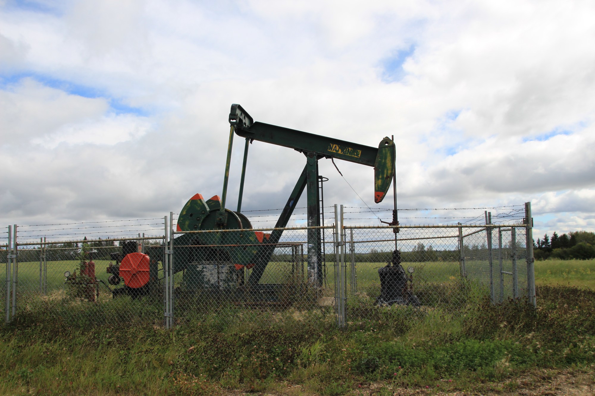 The Orphans – Orphan Well Adoption Agency