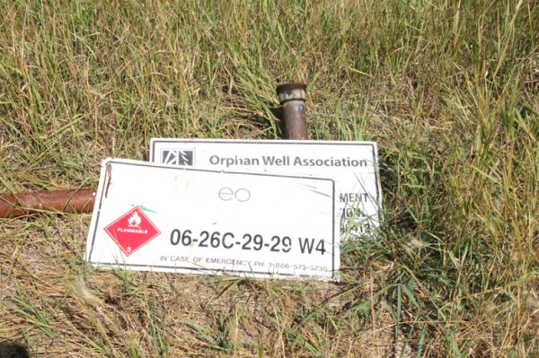 The Orphans – Orphan Well Adoption Agency
